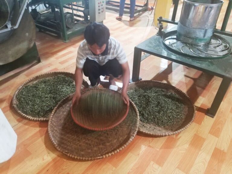 The Global Tea Report 2024 - Tea & Coffee Trade Journal