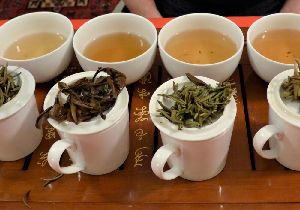 Submissions now open for World Tea Expo Global Tea Championship 2025 ...