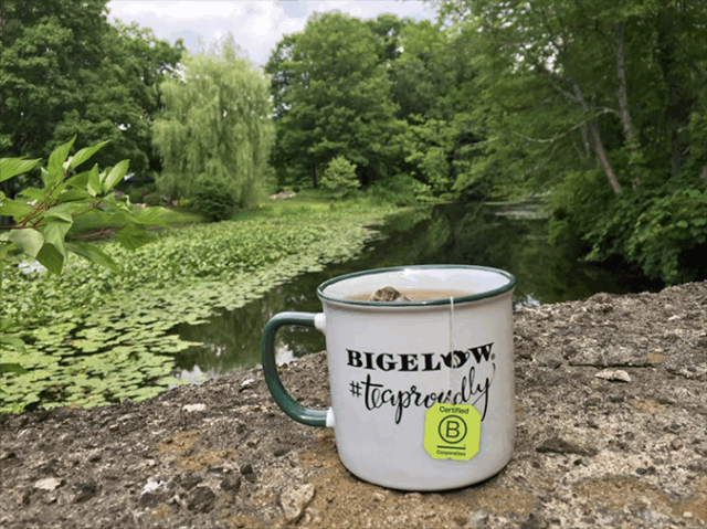 Bigelow Tea awarded WBENC certification - Tea & Coffee Trade Journal