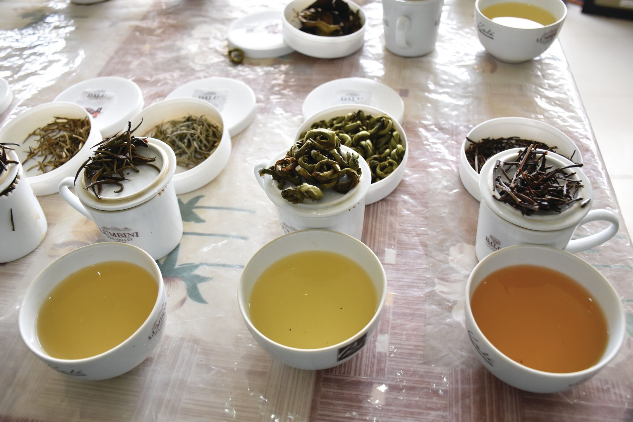 Raising the profile of Ceylon artisanal tea - Tea & Coffee Trade Journal