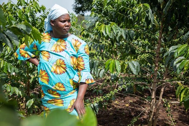 Fairtrade farmers increasingly threatened by climate change, warns ...